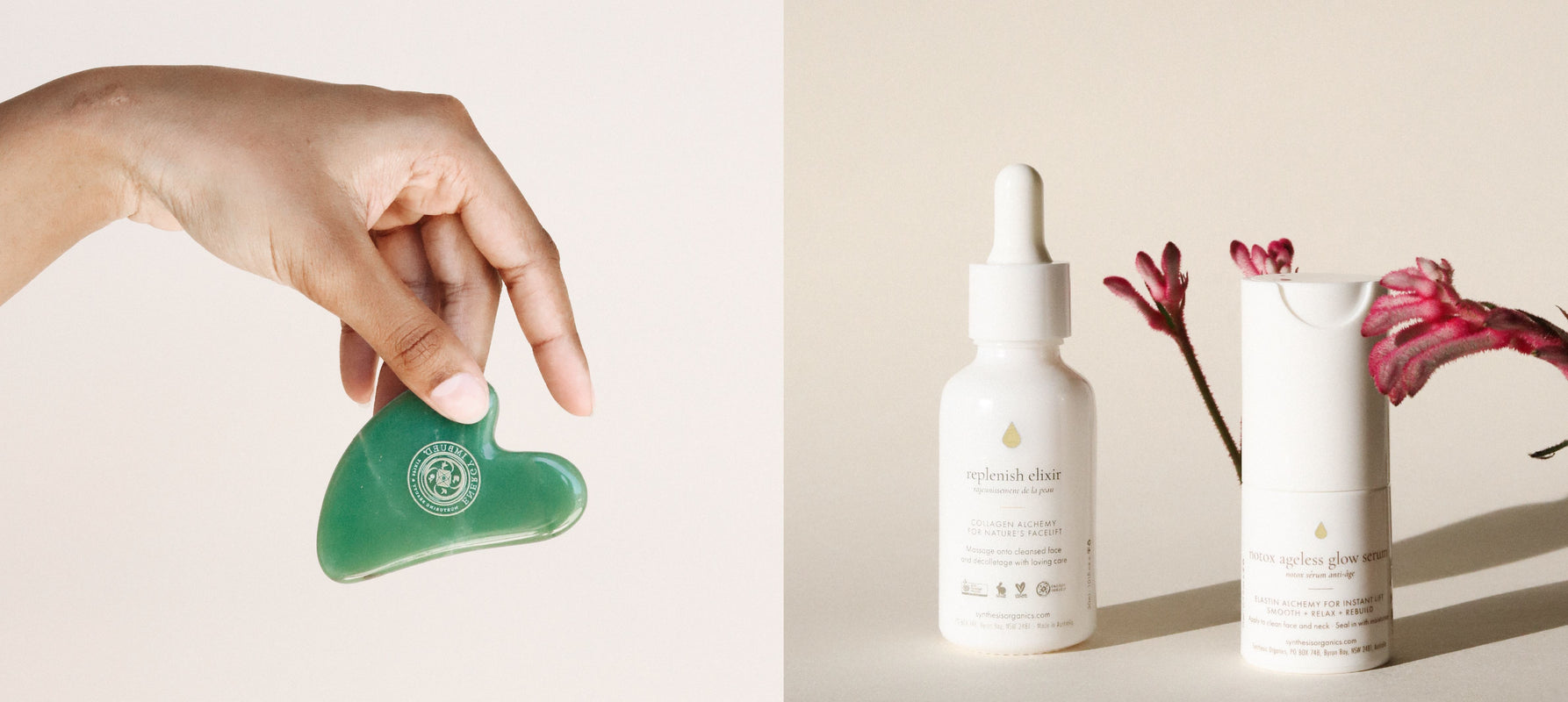 Free Gua Sha + Transform Bundle – Synthesis Organics