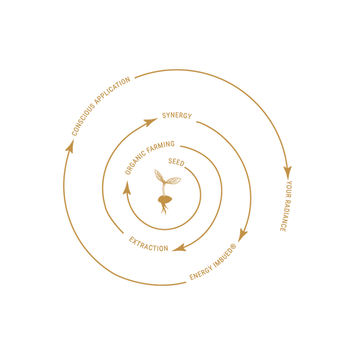 Seed To Synergy Integrity